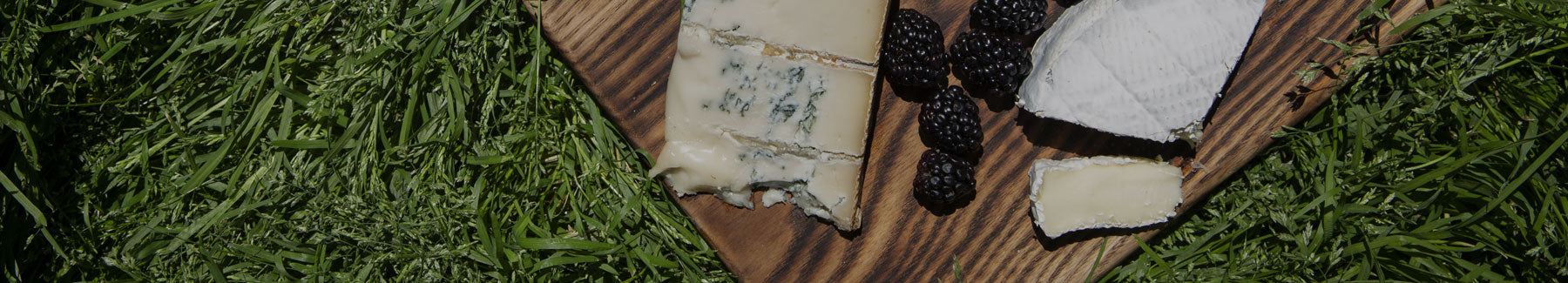 About Us - Cheese and Food Wraps NZ